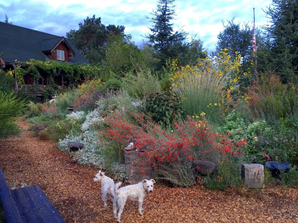 Bee-Friendly Gardens with Kate Frey - Redbud Audubon SocietyRedbud ...