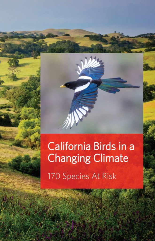 How Climate Change Is Impacting Local Birds - Redbud Audubon ...